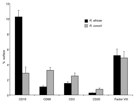 Histologic Features and Immunodetection of African Tick-bite Fever Eschar